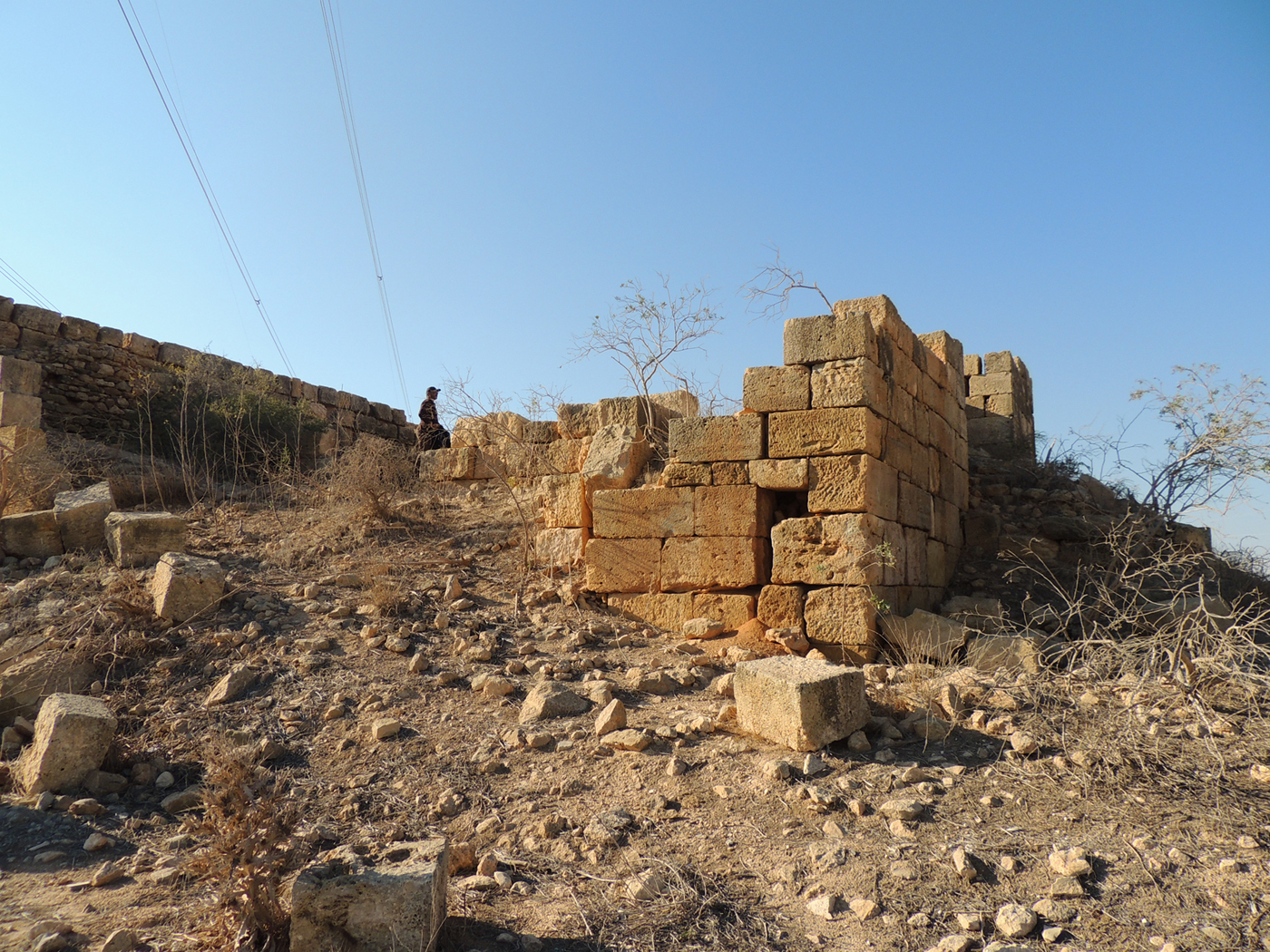 The Lepcitanian landscape across the ages: the survey between Ras el ...