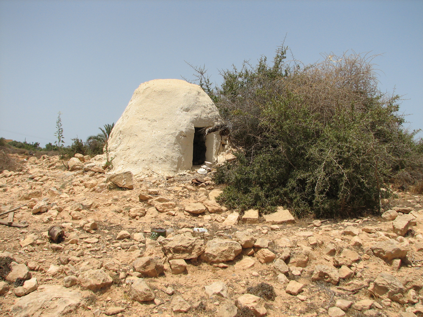 The Lepcitanian landscape across the ages: the survey between Ras el ...