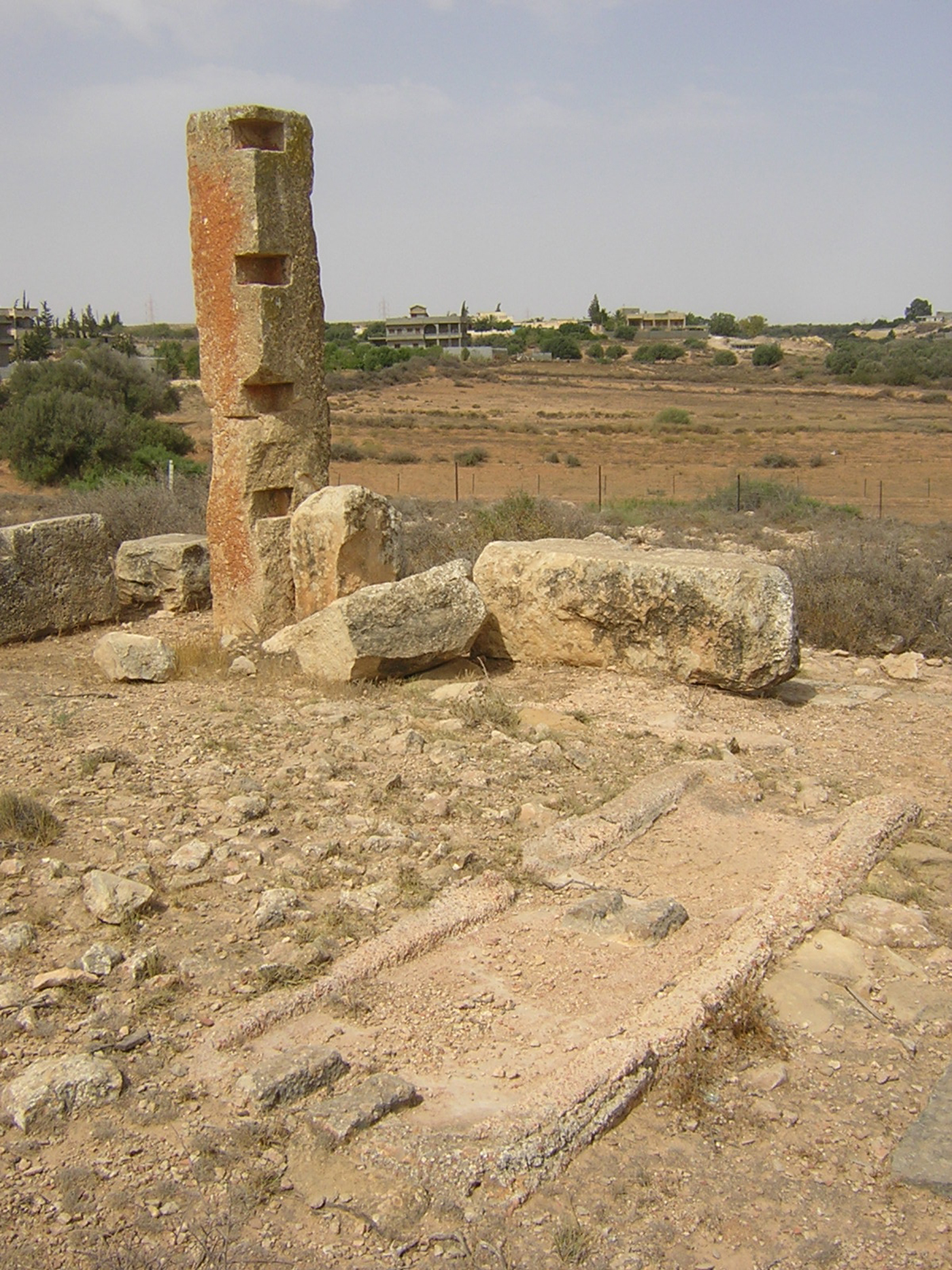 The Lepcitanian landscape across the ages: the survey between Ras el ...