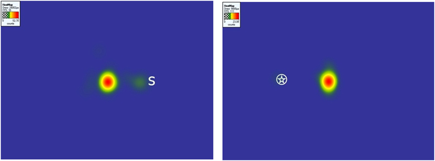 Parafoveal processing of letters and letter-like forms in prereaders ...