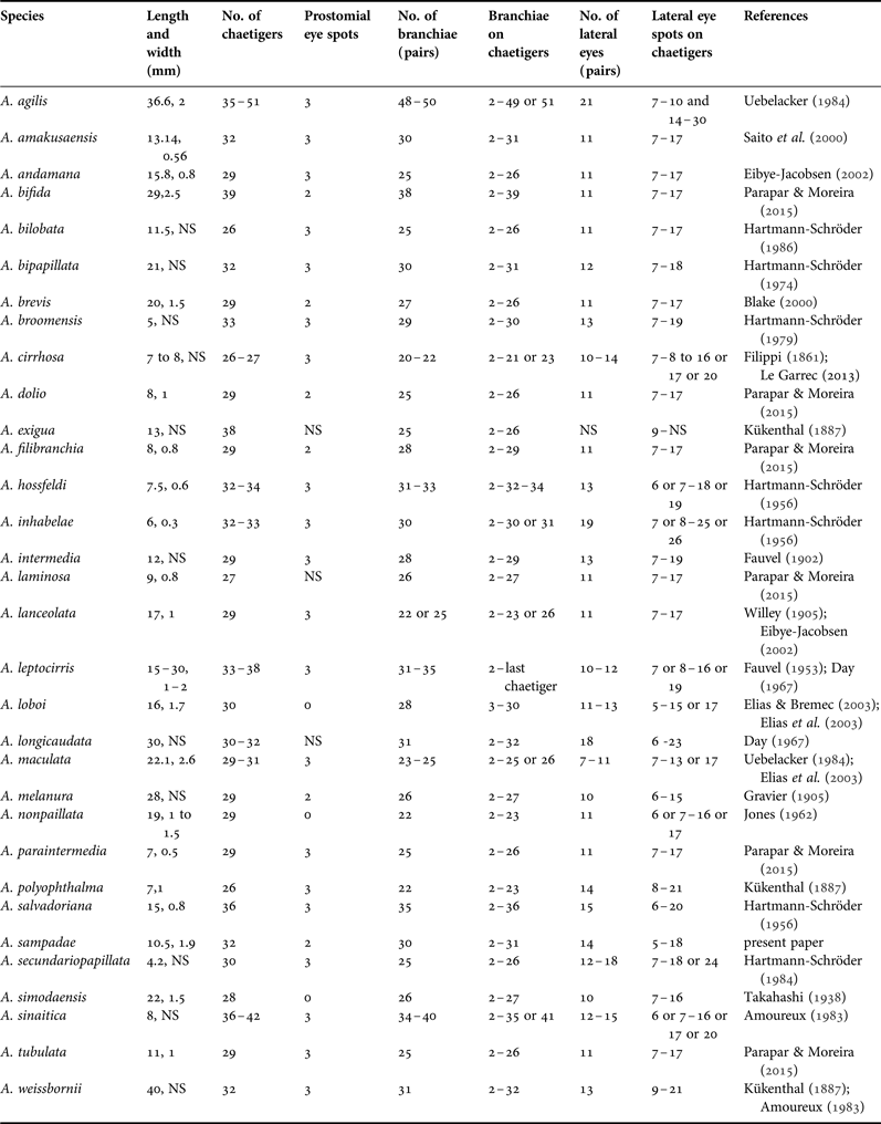Armandia sampadae, a new species of polychaete (Opheliidae) from ...