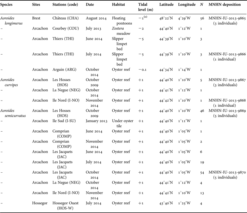 Three non-indigenous species of Aoroides (Crustacea: Amphipoda: Aoridae ...