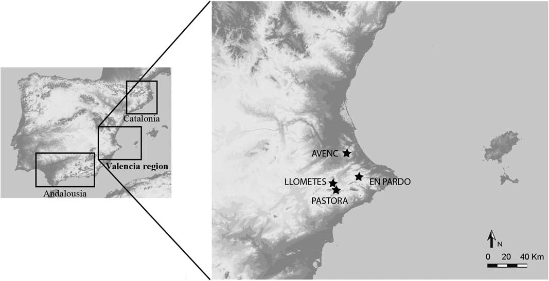Earliest Evidence of Neolithic Collective Burials from Eastern Iberia ...
