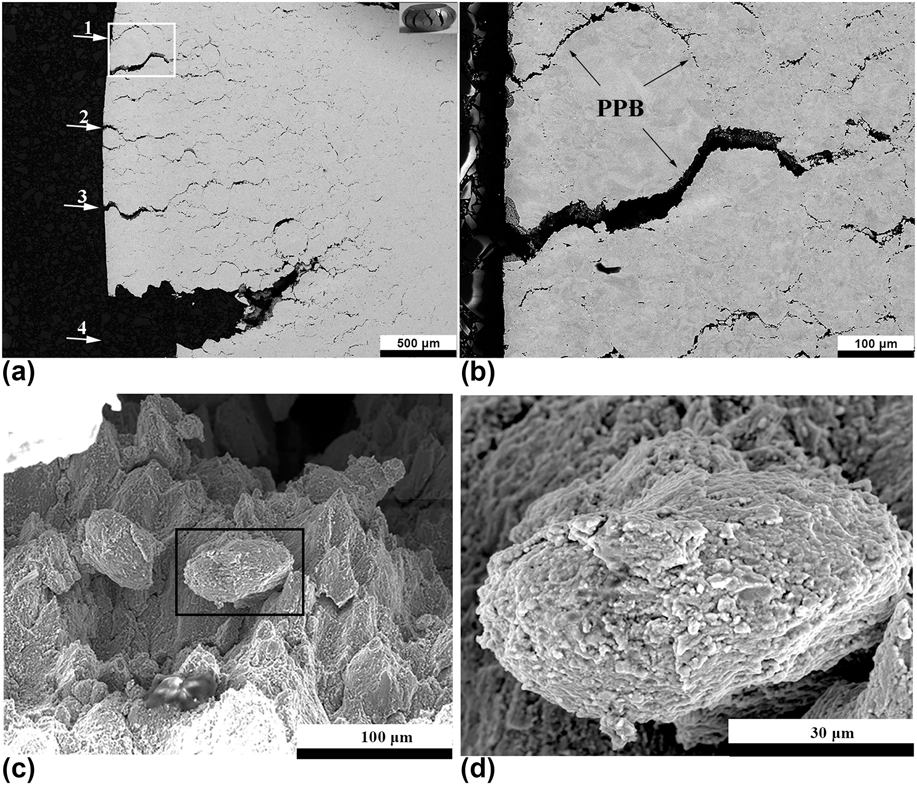 Hot deformation behaviors of a new hot isostatically pressed nickel ...