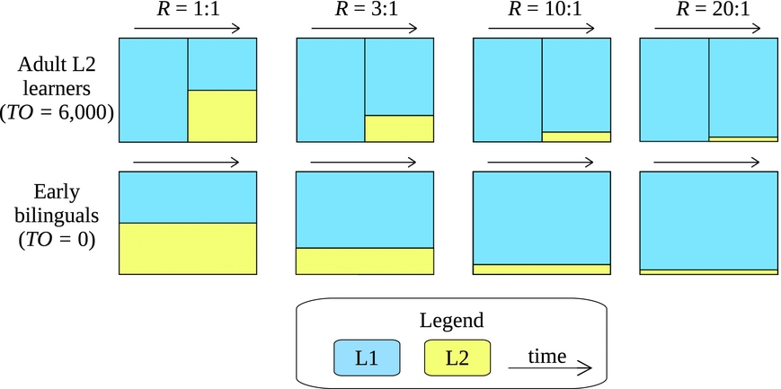The impact of first and second language exposure on learning second ...