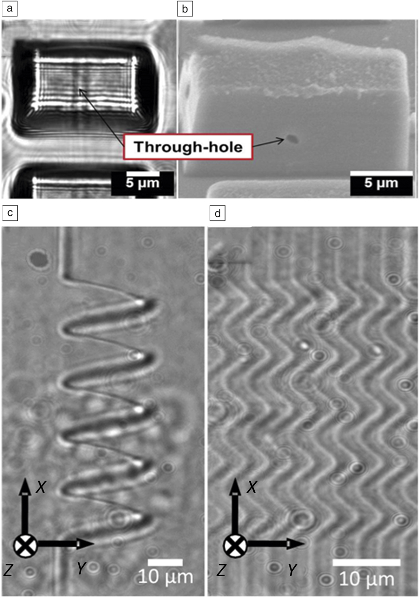 Femtosecond laser direct writing in transparent materials based on ...