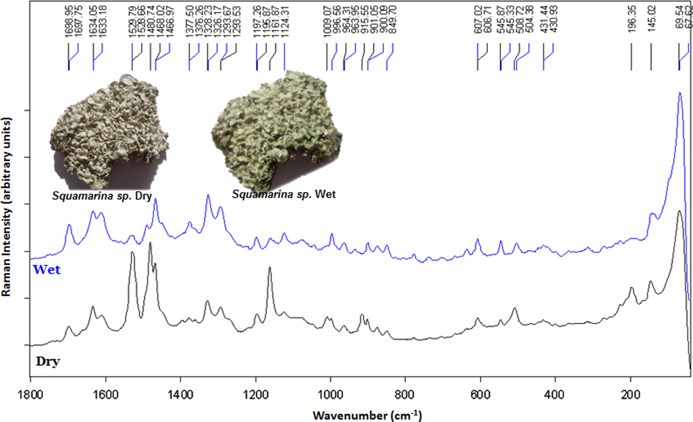 Lichen biomarkers upon heating: a Raman spectroscopic study with ...