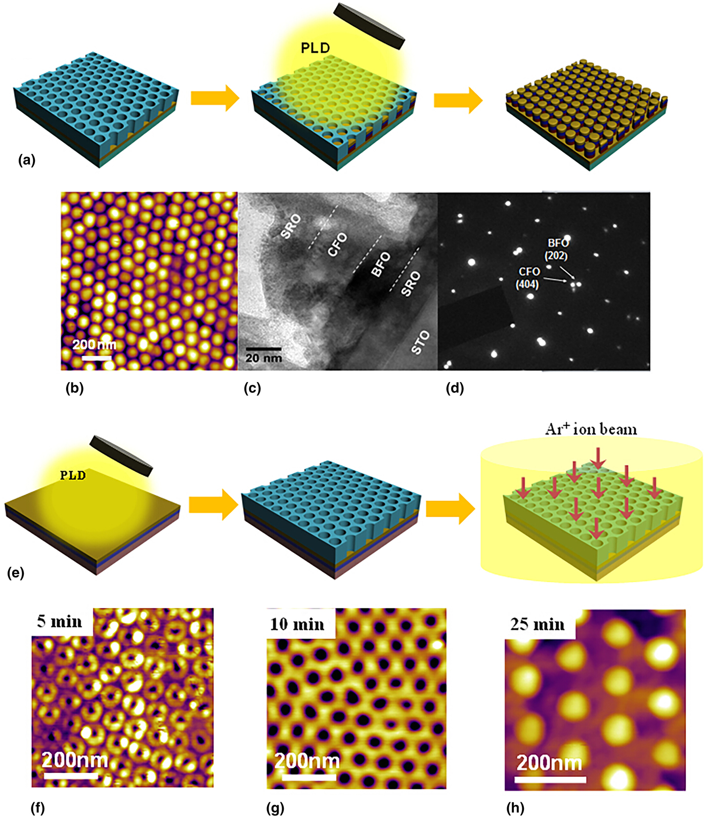 Domain Structures And Magnetoelectric Effects In Multiferroic