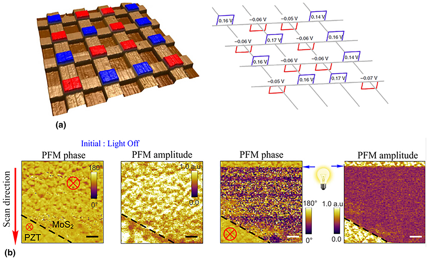 Domain structures and magnetoelectric effects in multiferroic ...