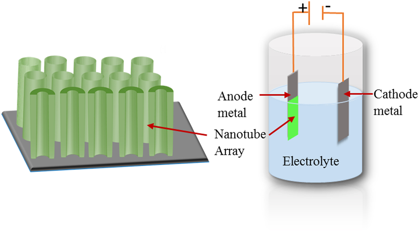 Anodically grown functional oxide nanotubes and applications | MRS ...