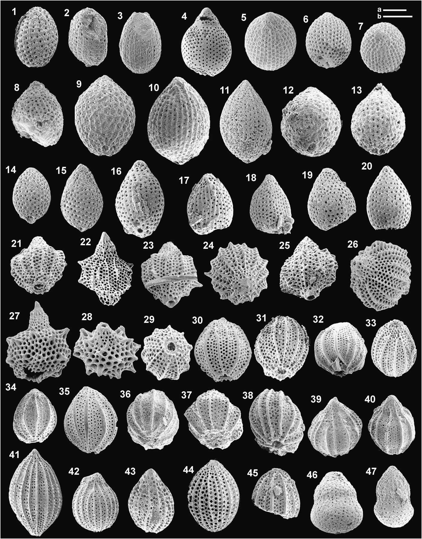 Middle and Late Jurassic radiolarians from the Neotethys suture in the ...
