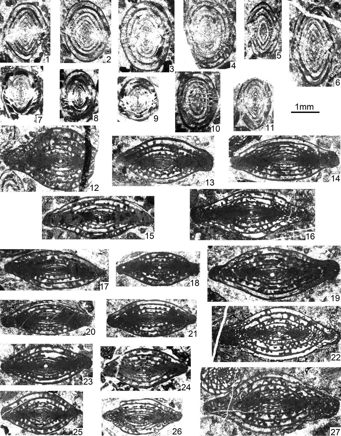 Depauperate fusulinid faunas of the Tengchong Block in western Yunnan ...