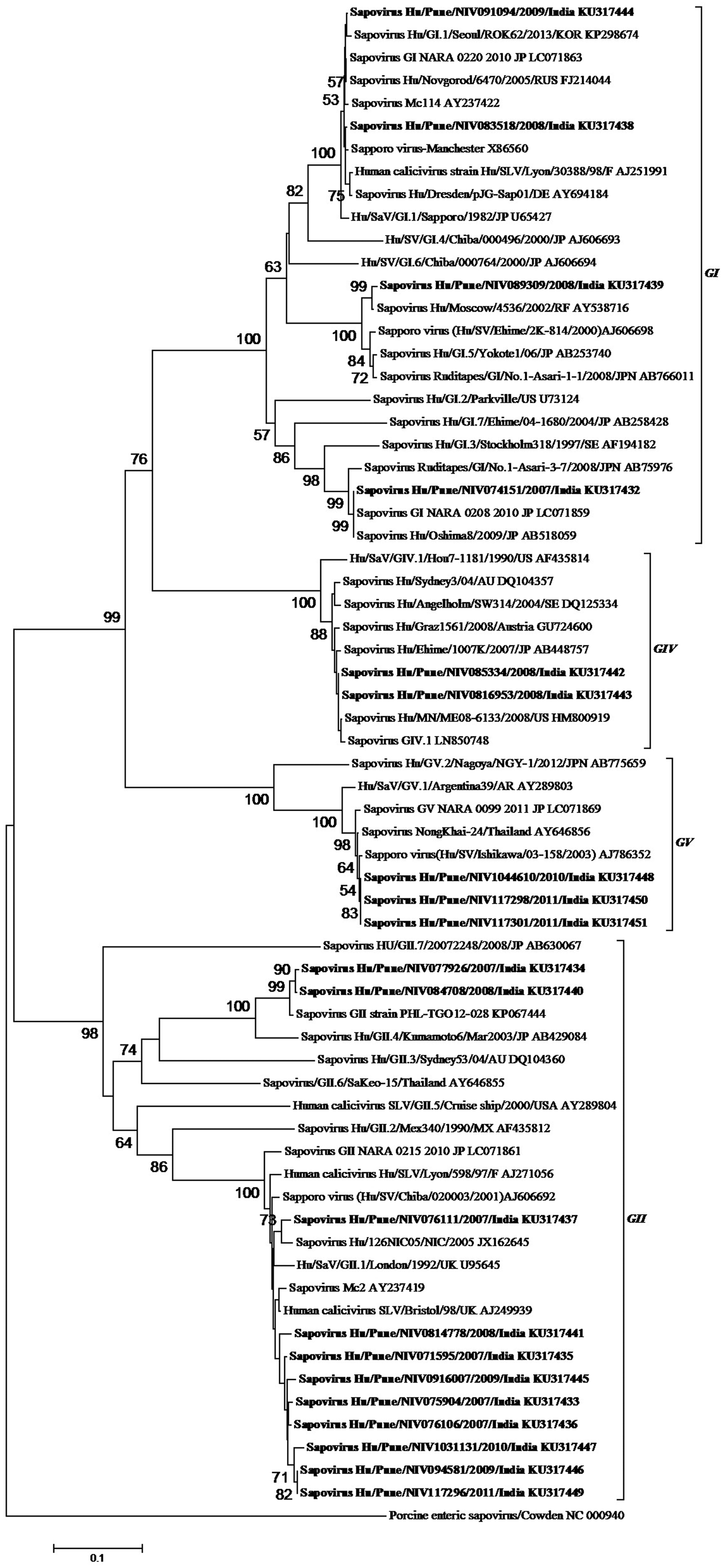 Epidemiological profile and genetic diversity of sapoviruses (SaVs ...
