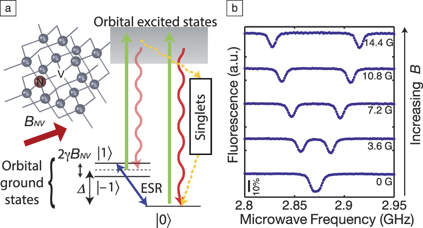 Nanoscale magnetometry with NV centers in diamond | MRS Bulletin ...