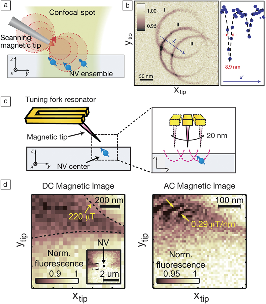 Nanoscale magnetometry with NV centers in diamond | MRS Bulletin ...