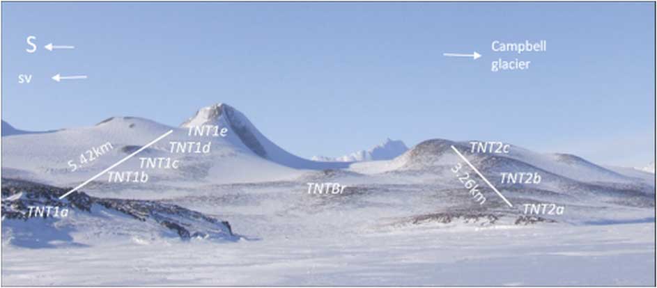 Haplotype diversity in the Antarctic springtail Gressittacantha ...