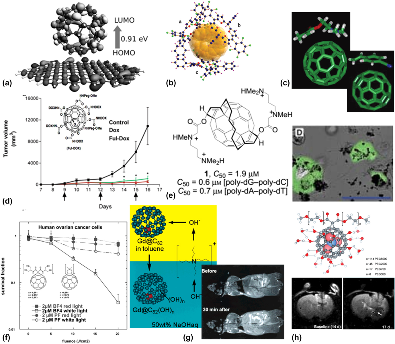 30 years of advances in functionalization of carbon nanomaterials for ...