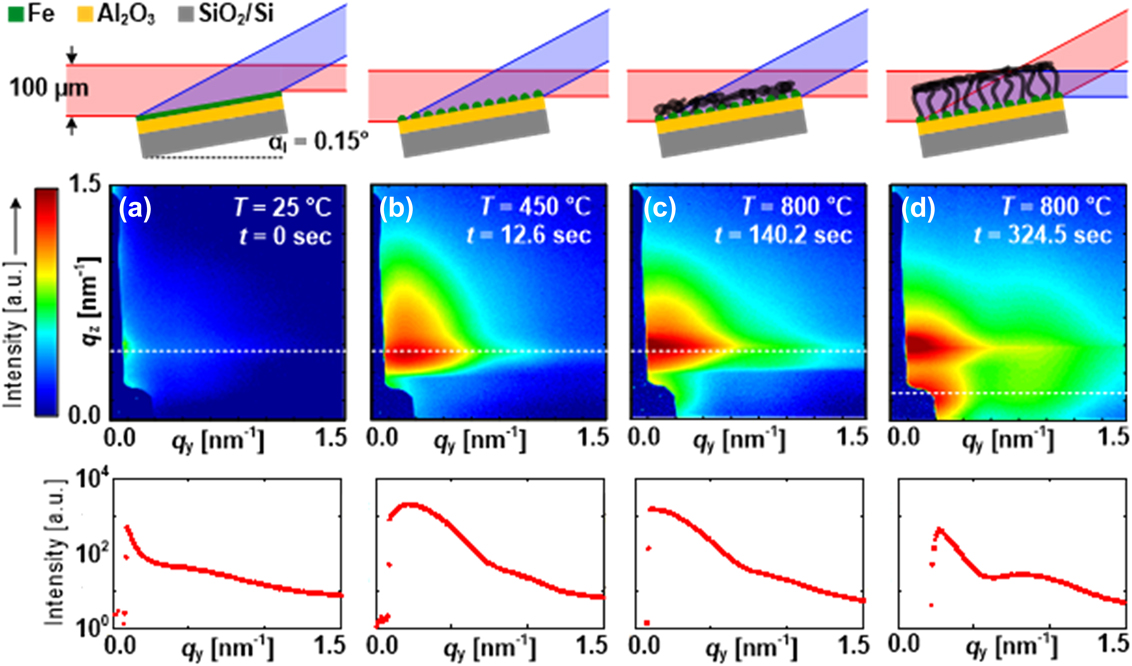 Data-driven understanding of collective carbon nanotube growth by in ...