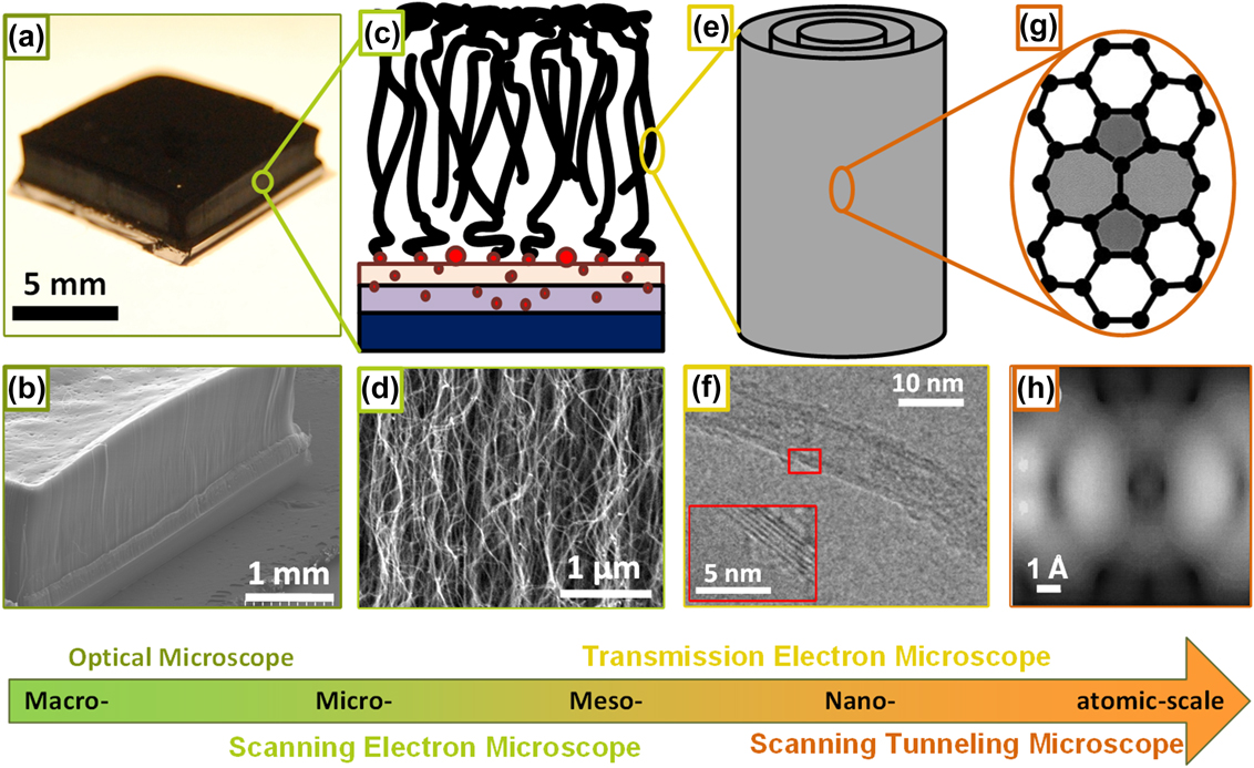 Data-driven understanding of collective carbon nanotube growth by in ...