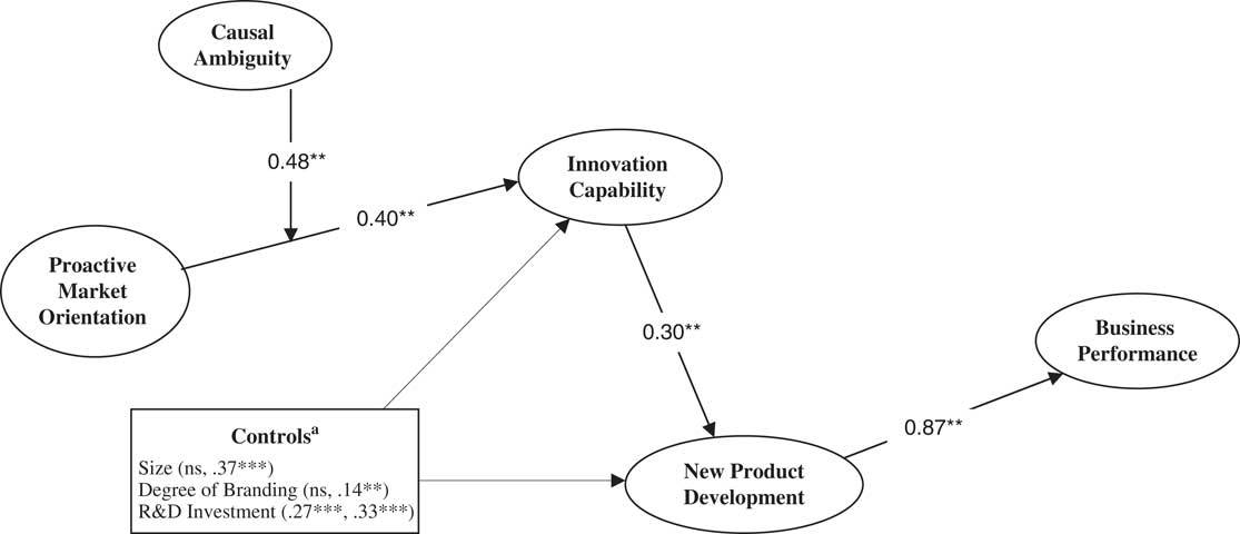 Proactive market orientation and innovation in India: The moderating ...