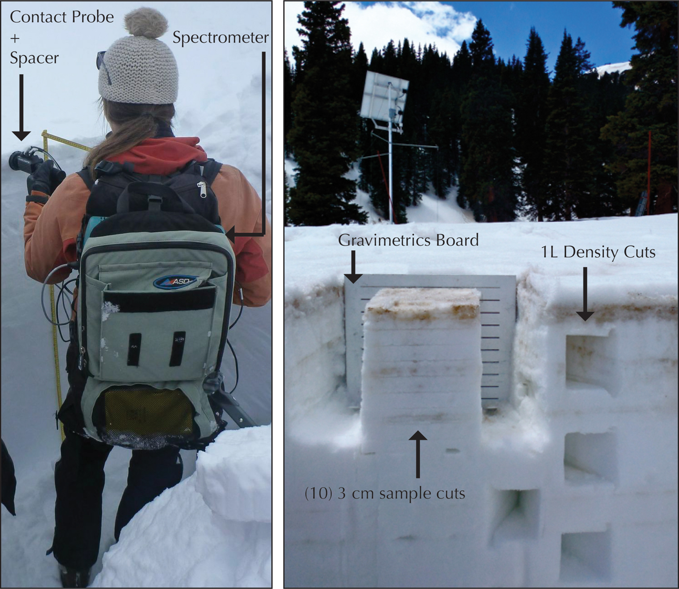 Daily evolution in dust and black carbon content, snow grain size, and ...