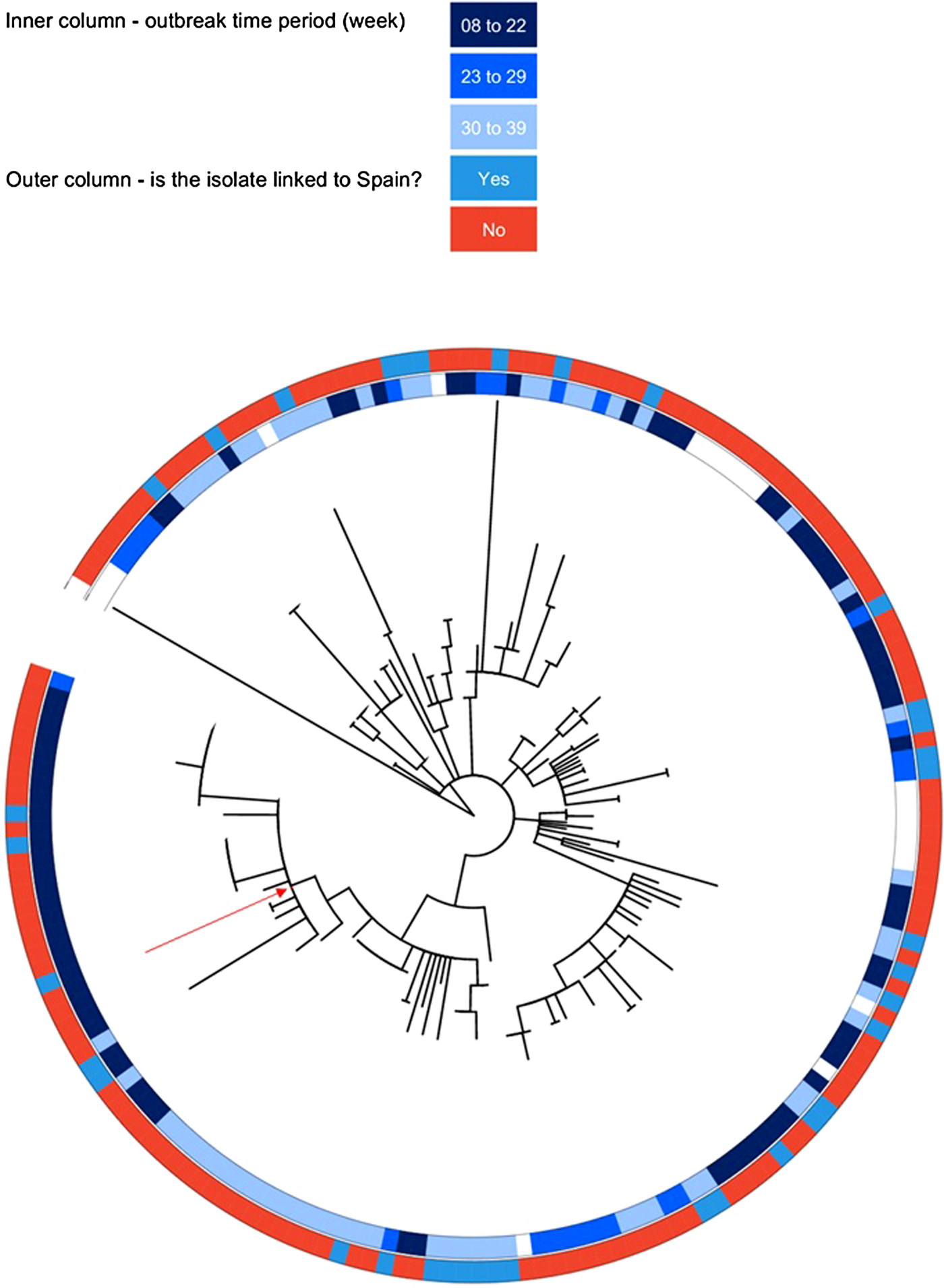 Prospective use of whole genome sequencing (WGS) detected a multi ...