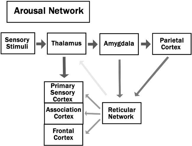 The circumplex model of affect: An integrative approach to affective ...