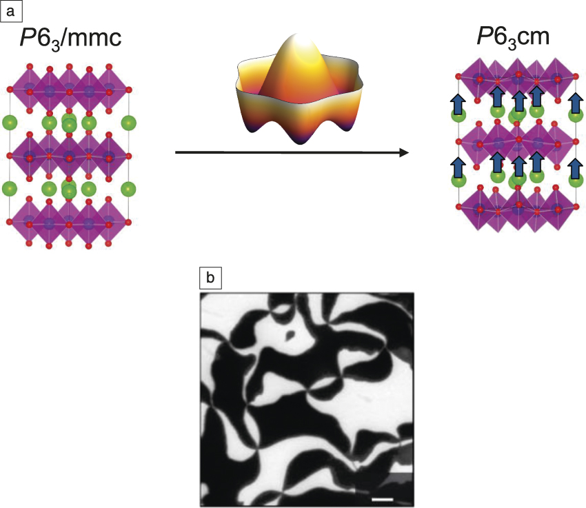 Multiferroics: Past, present, and future | MRS Bulletin | Cambridge Core