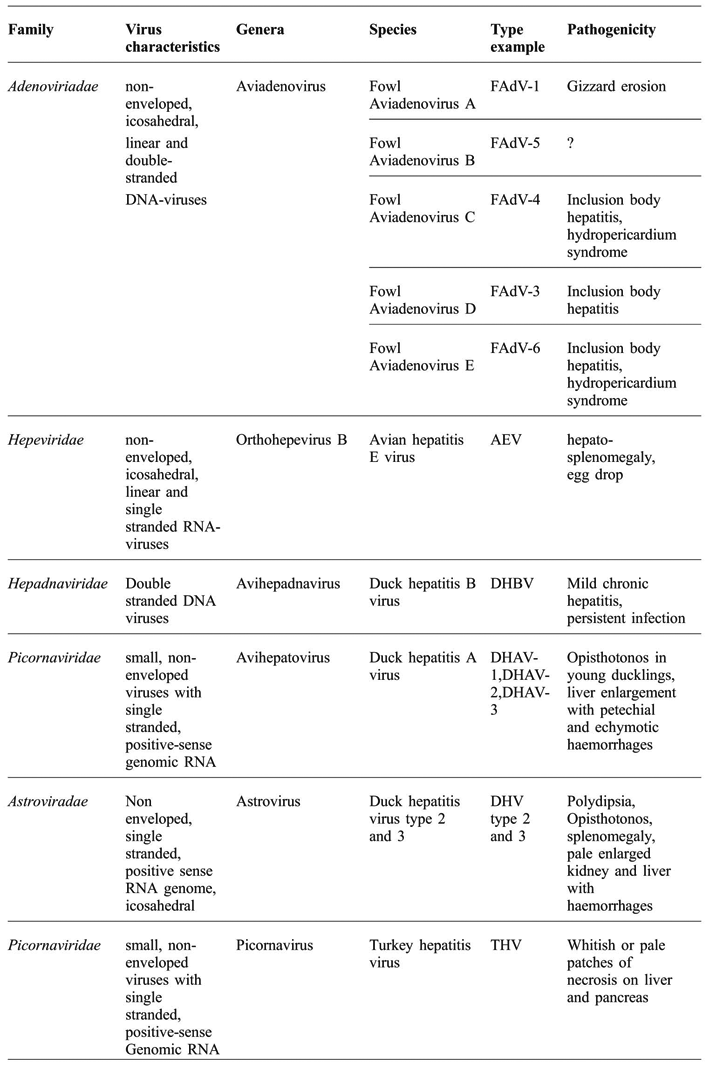 Viral hepatitis in chicken and turkeys | World's Poultry Science ...