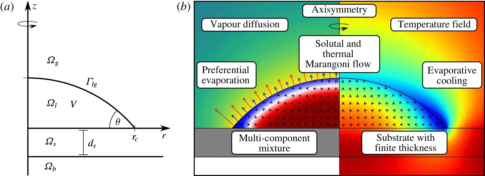 Evaporating pure, binary and ternary droplets: thermal effects and ...