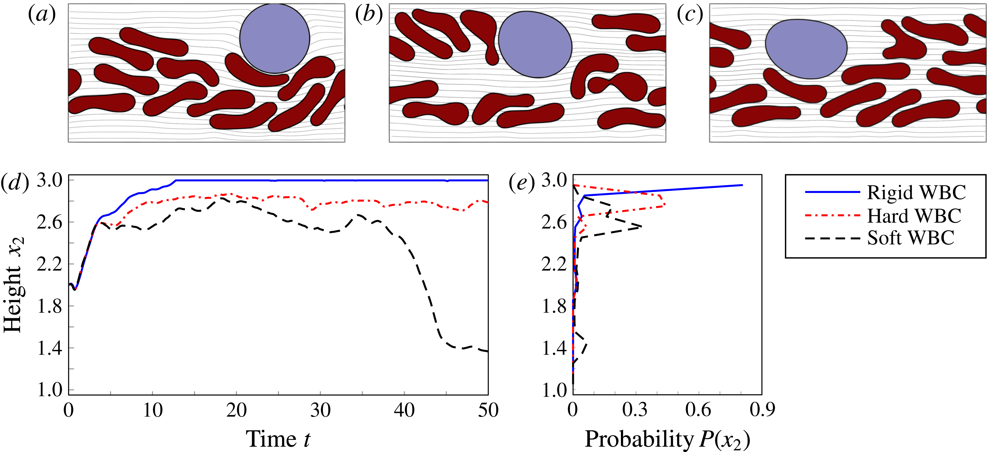 Margination of white blood cells: a computational approach by a ...