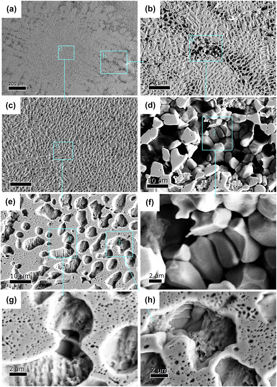Multi Transformations In Rapid Solidification Of Highly Undercooled Hypoeutectic Ni Ni3b Alloy