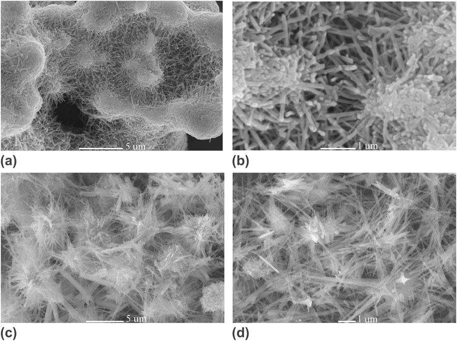Mild hydrothermal synthesis of γ-MnO2 nanostructures and their phase transformation to α-MnO2 ...