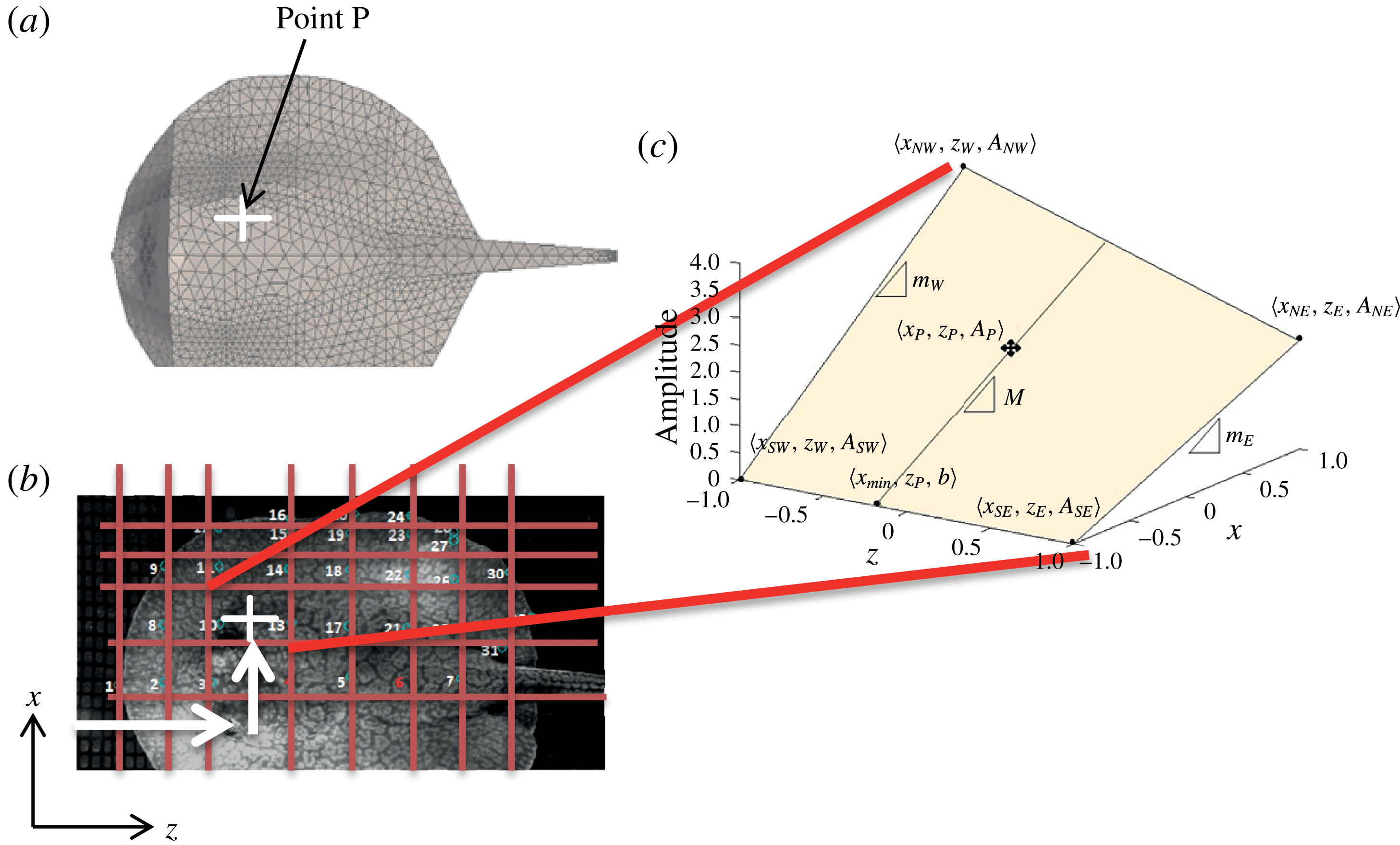 Hydrodynamics of swimming in stingrays: numerical simulations and the ...