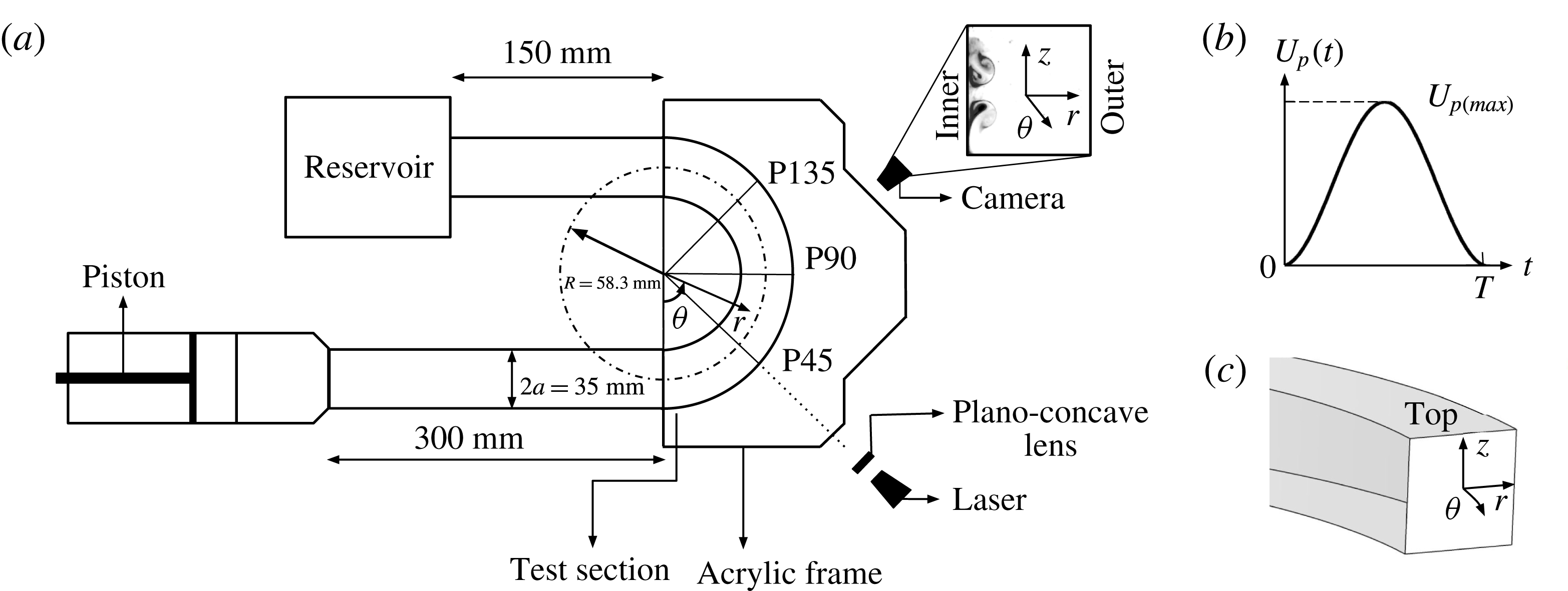 Separations and secondary structures due to unsteady flow in a curved ...
