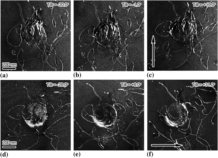 Three-dimensional visualization of dislocation-precipitate interactions in a Al–4Mg–0.3Sc alloy ...