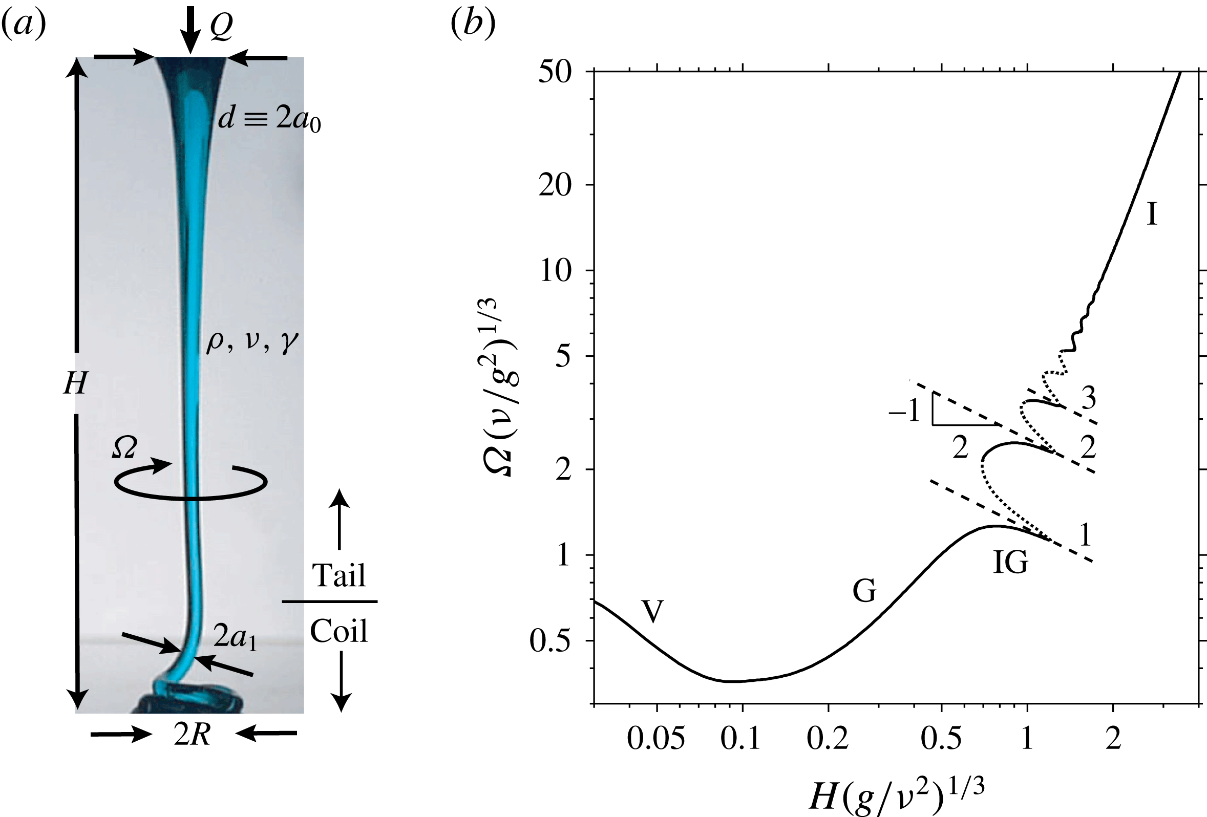 Liquid rope coiling: a synoptic view | Journal of Fluid Mechanics ...