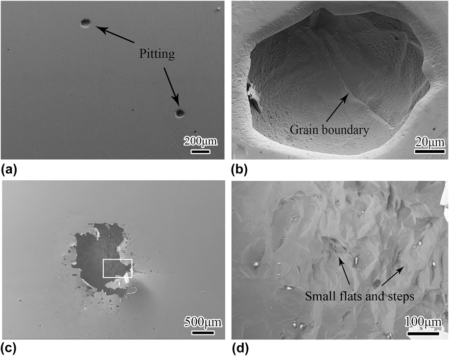 An investigation on microstructure and pitting corrosion behavior of ...