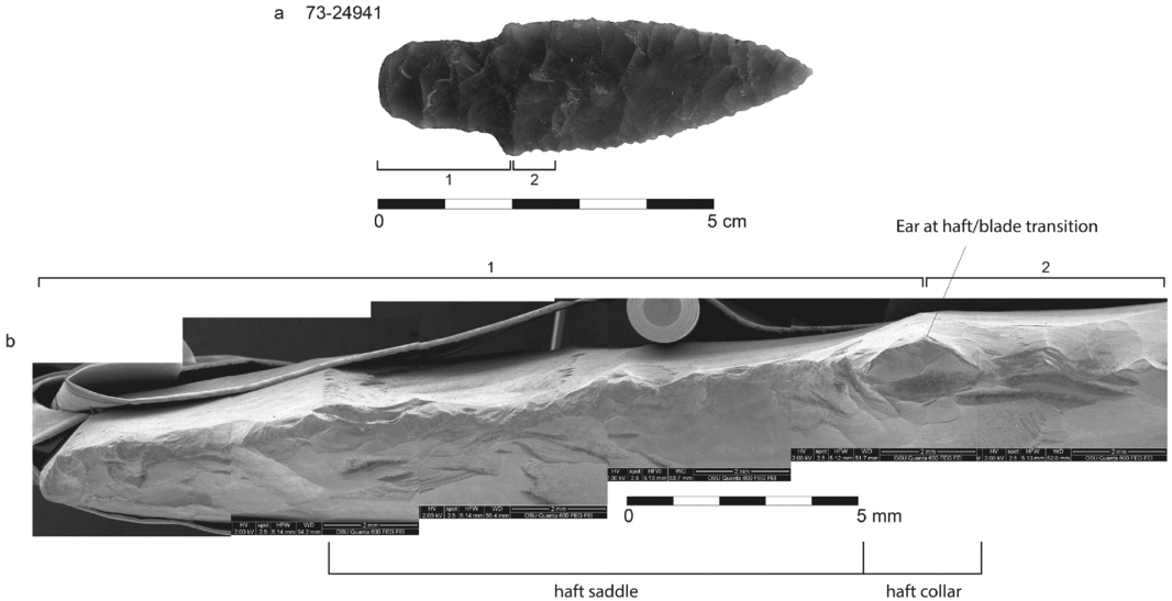 MORPHOMETRIC AND TECHNOLOGICAL ATTRIBUTES OF WESTERN STEMMED TRADITION ...
