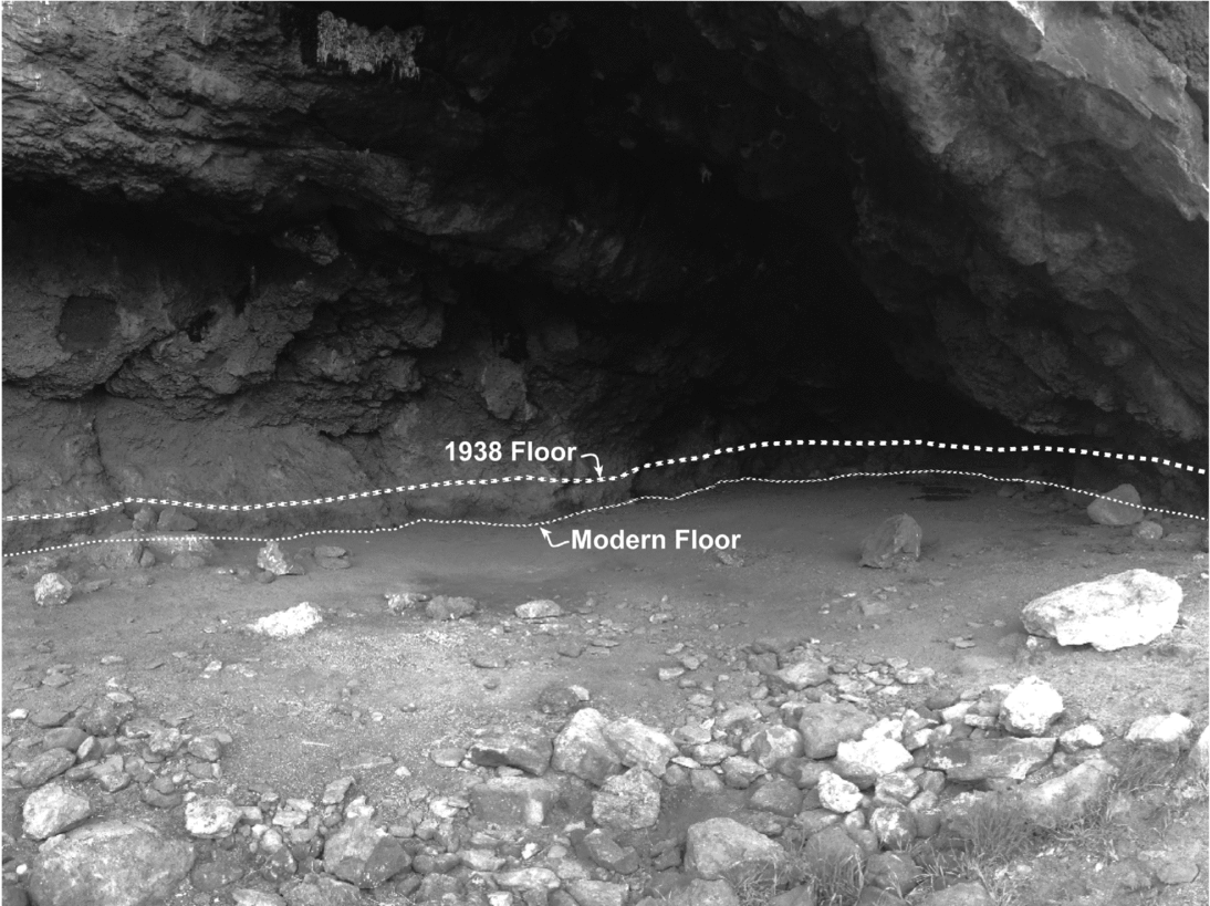 RETURN TO FORT ROCK CAVE: ASSESSING THE SITE'S POTENTIAL TO CONTRIBUTE ...