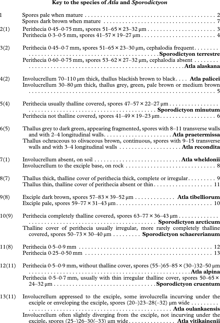 Three new species of Atla from calcareous rocks (Verrucariaceae ...