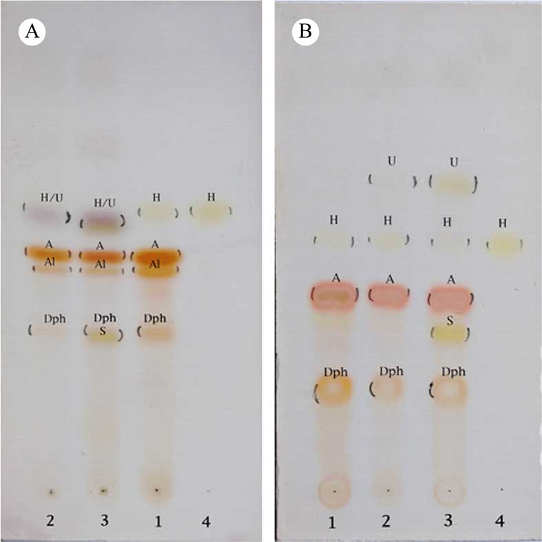 Degradation of alectorialic acid in the lichen genus Usnea | The ...