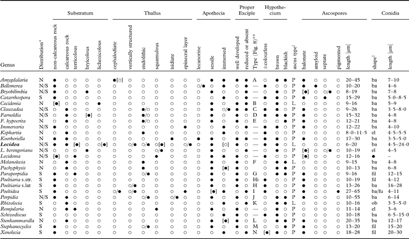 A contribution to the family Lecideaceae s. lat. (Lecanoromycetidae inc ...