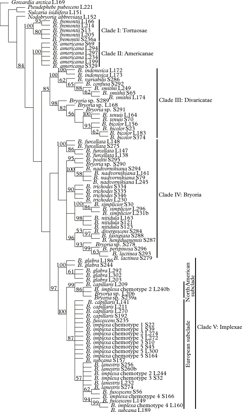 Phylogeny of the genus Bryoria | The Lichenologist | Cambridge Core