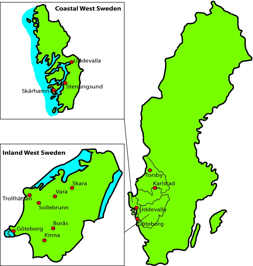 Something old, something new: Some processes for dialect change in ...