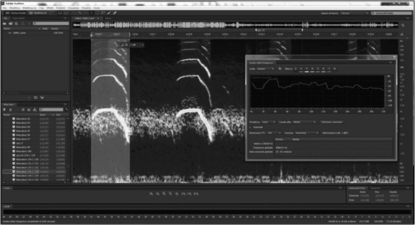 Vocalisation sound pattern identification in young broiler chickens ...