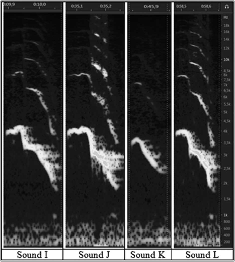 Vocalisation sound pattern identification in young broiler chickens ...