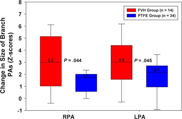 Femoral vein homograft as Sano shunt results in improved pulmonary ...