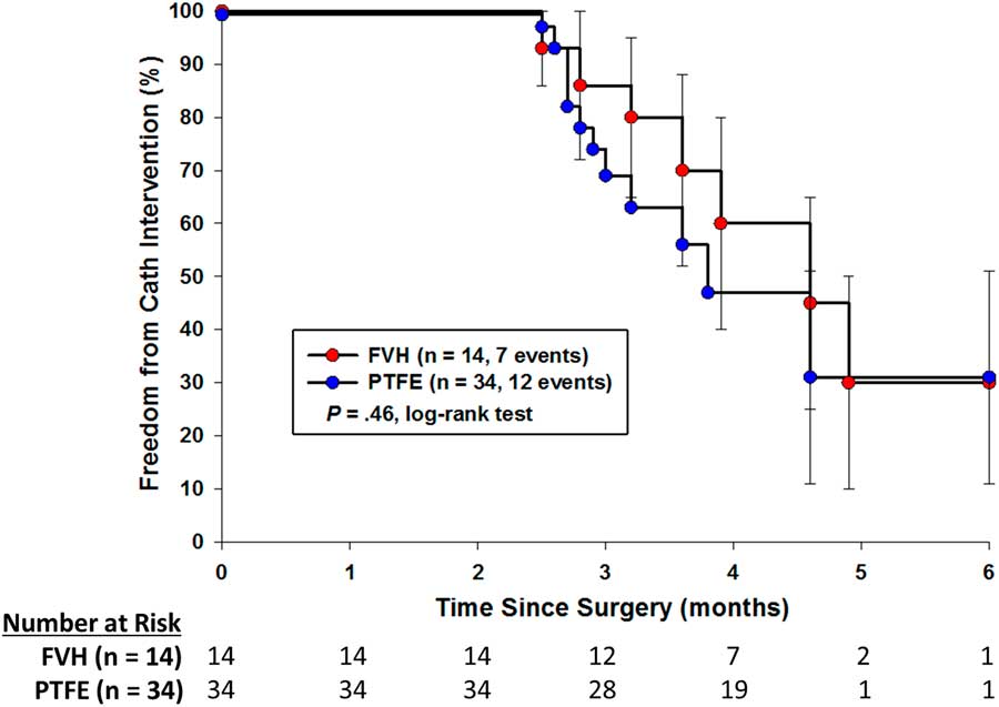 Femoral vein homograft as Sano shunt results in improved pulmonary ...