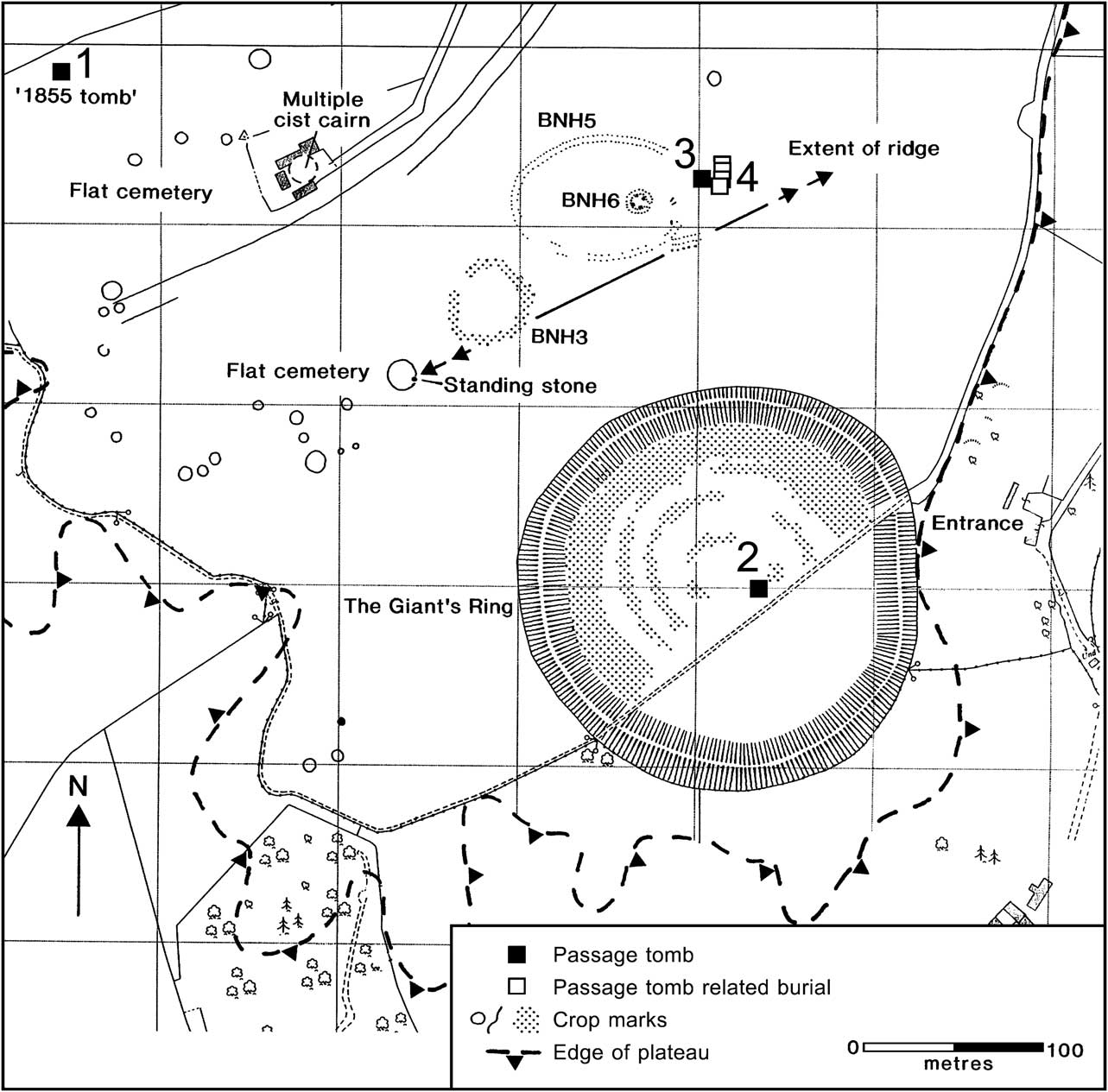 Getting into the Groove: Exploring the Relationship between Grooved ...